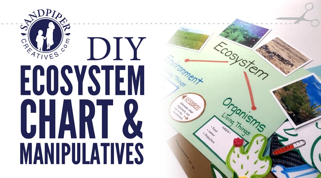 Creating an Ecosystem Chart and Activity - Sandpiper Creatives